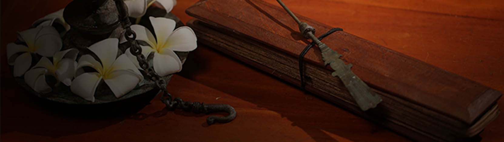 Ayurveda in Sri lanka - Siddhalepa